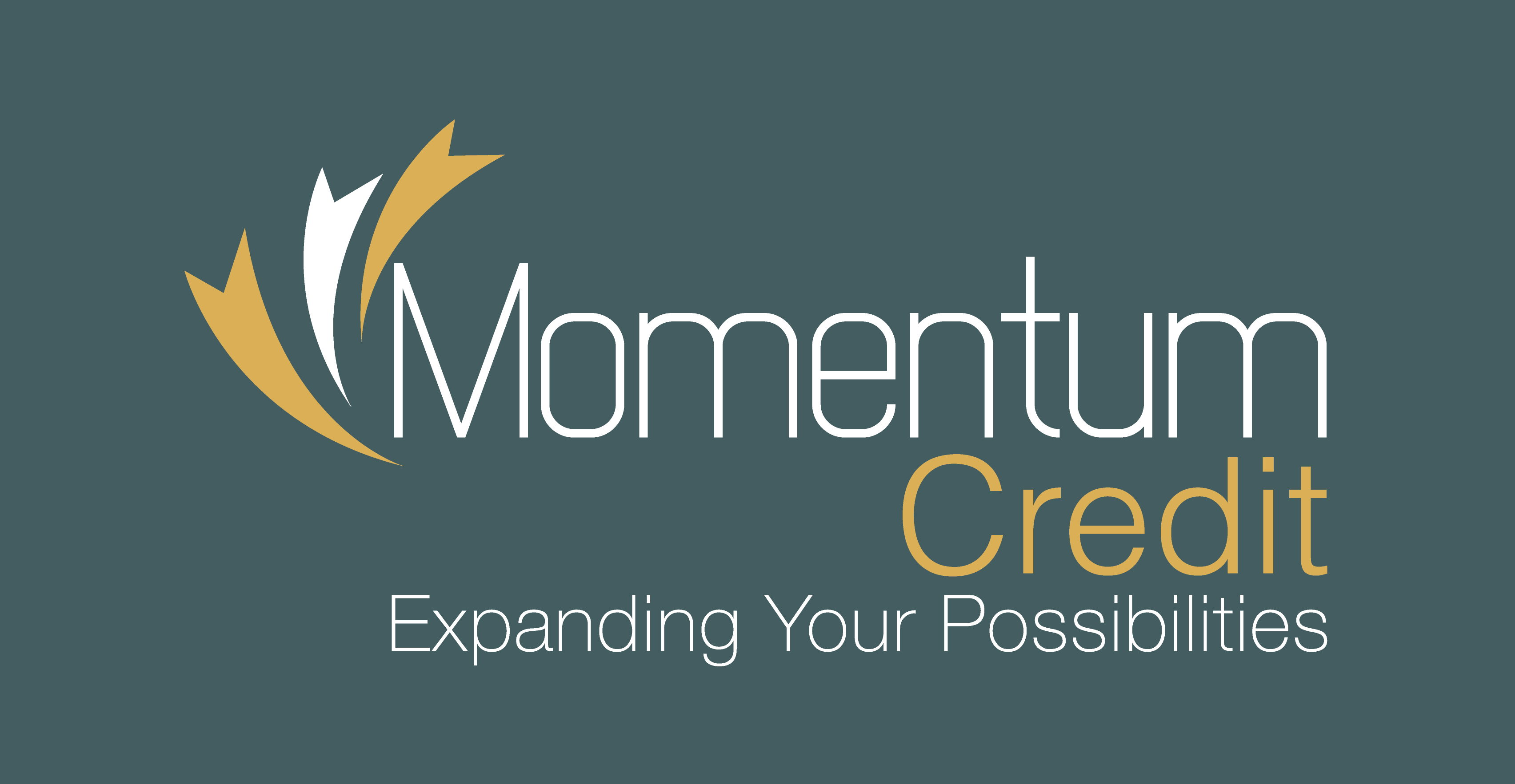 Momentum Credit - 2020 Marketing Agency, Nairobi Kenya